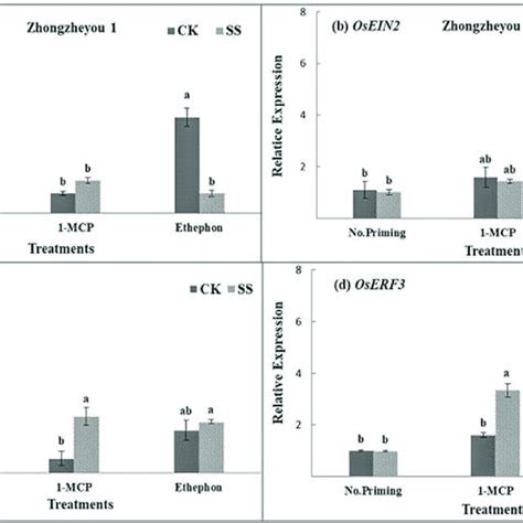 Efects Of 1 Mcp And Ethephon Seed Priming On The Relative Expression Of