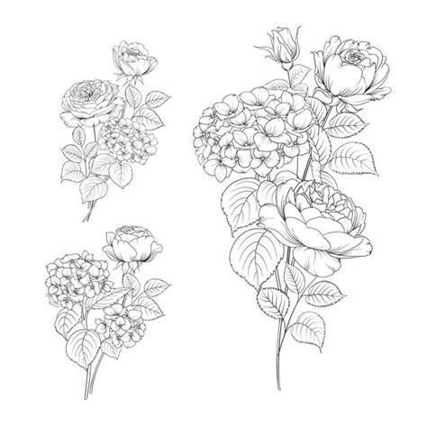 Beautiful Vintage Floral Hydrangea Drawing