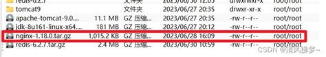 Nginx的安装和核心功能ngnix在哪 Csdn博客