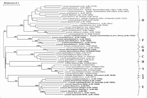 dendrogram of all accessions based on nei and li s distance estimation