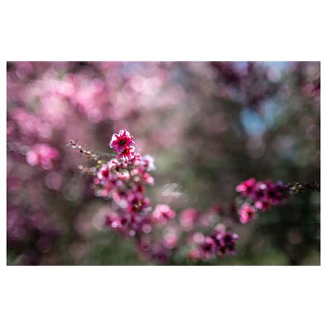 Mark Luyt Markluyt • Instagram Photos And Videos