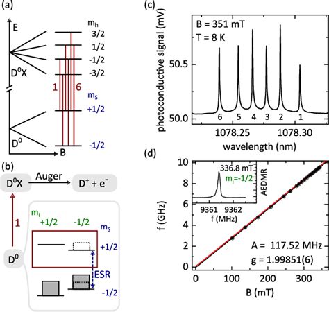 Figure 1 From Electron Nuclear Double Resonance With Donor Bound
