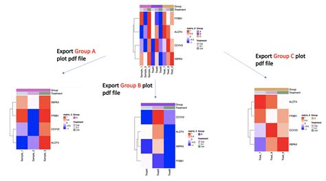 Subset And Loop To Export The Pdf Files General Posit Community