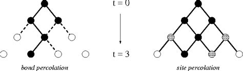 Figure 1 From Yang Lee Zeros For A Nonequilibrium Phase Transition