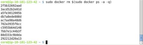 Using C With Docker Engine Codeguru Using C With Docker Engine Codeguru