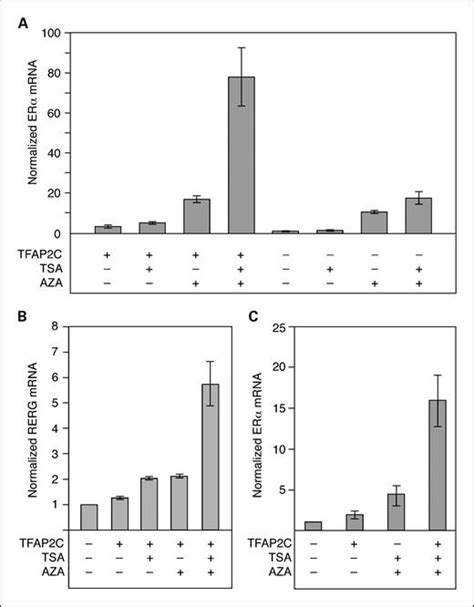 Interaction Of Tfap2c With The Estrogen Receptor α Promoter Is Controlled By Chromatin Structure