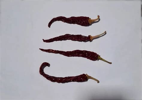 Kdl Dry Red Chilli At ₹ 350kg In Byadgi Id 2855766085555