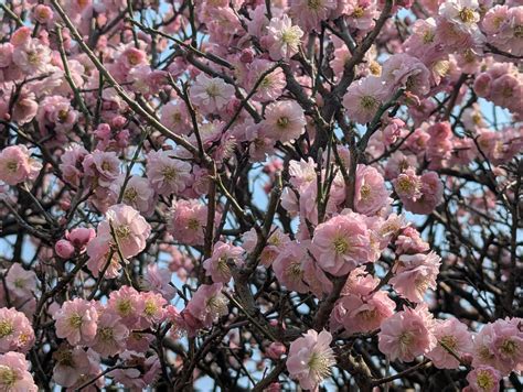 Aurora Postgresql 環境で Dblink 接続を使用する際に、aws Secrets Manager から認証情報を取得してみる サーバーワークスエンジニアブログ