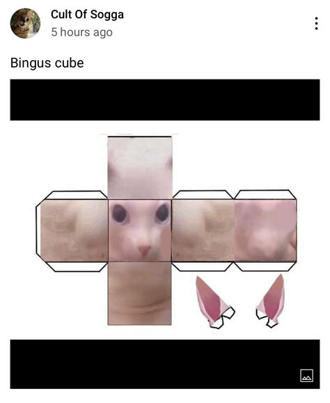 Bingus Cube R Comedyhell