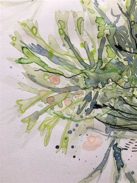 Seaweed Watercolour Painting By Dawn Newbigging Green Seaweed And