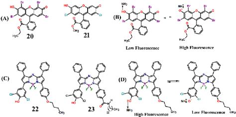 A Molecular Structure Of Fluorescent Indicator Dyes 20 And 21 And B