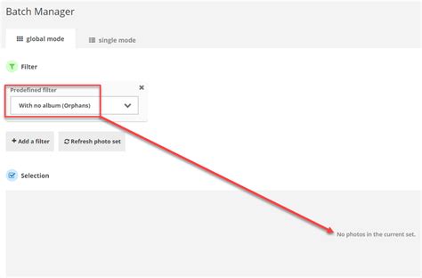 1300beta1 Synced Photos Show As Orphan · Issue 1644 · Piwigopiwigo · Github