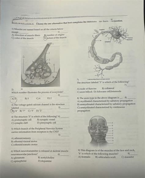 Solved Can You Answer The Questions For Me Please
