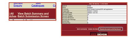 Calf Registration On Internet Solutions Red Devon Cattle Breeders Association