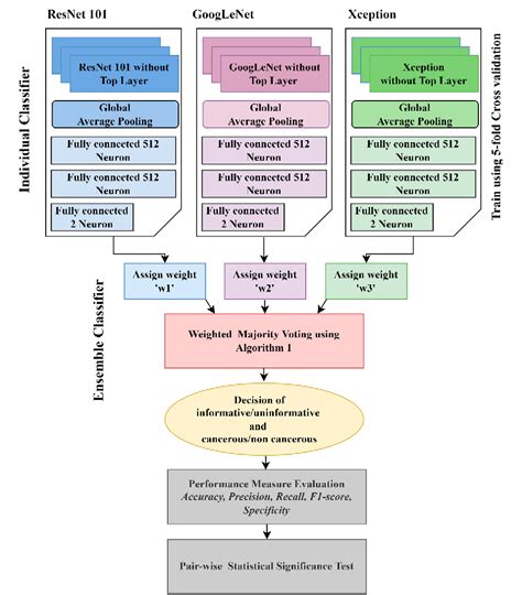 Figure 1 From An Ensemble Based Deep Convolutional Neural Network For Computer Aided Polyps
