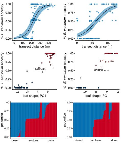 Patterns Of Hybridization And Introgression At Two Natural Hybrid