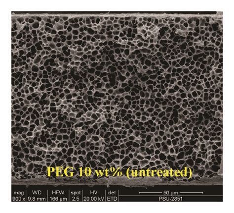 Sem Micrographs Cross Sectional Structure Of Pure Psf A Psf Peg