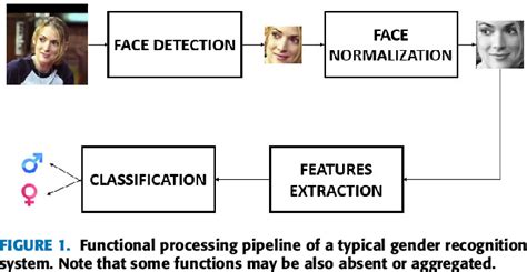 Figure 1 From A Convolutional Neural Network For Gender Recognition