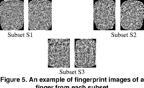 Figure From Fingerprint Classification Using A Homogeneity Structure Of Fingerprint S