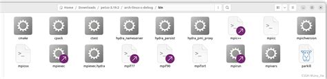 Mpirunmpiexec N N 只有主进程输出的问题 Csdn博客