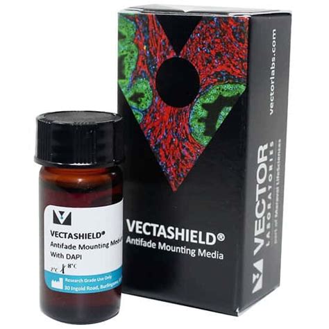 Vector Laboratories Vectashield Antifade Mounting Medium With Dapi 10