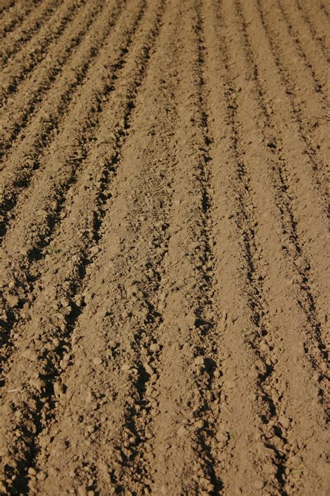 무료 이미지 경치 자연 모래 들 바닥 아스팔트 환경 수확고 갈색 흙 농업 평원 밭고랑 전지 지구 대칭 시리즈 경작 할 수있는 애커 프룻