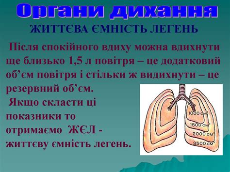 Дихання людини презентация онлайн