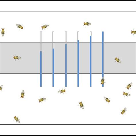 Proboscis Extension Reflex Assay Per Upon Stimulation Of The Tarsi