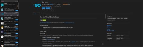 vscode golang 설정