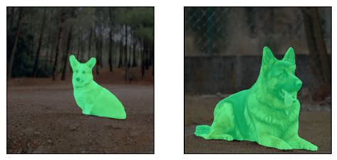 可视化工具 — Torchvision 0 22 文档 Pytorch 深度学习库