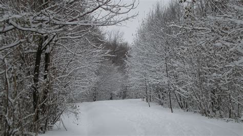Allentown Pa Weather Forecast Conditions And Maps Yahoo Weather