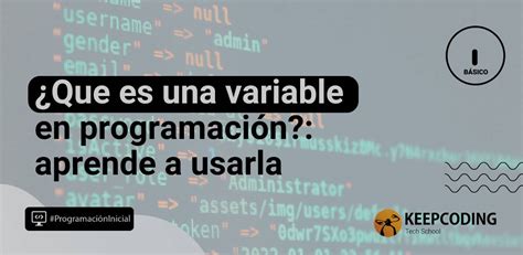 Variable En Programación Aprende Todo Sobre Su Uso