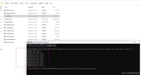 onnx文件转ncnn param和bin文件 onnx2ncnn exe csdn博客