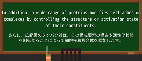 【英単語】activation Stateを徹底解説！意味、使い方、例文、読み方 おもしろい英文法