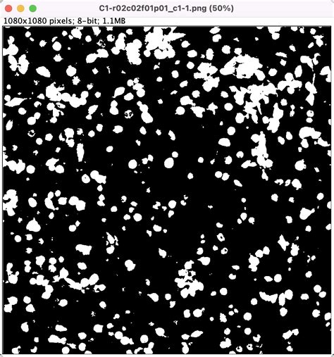 hci imagej的单细胞荧光强度分析 imagej分析荧光强度 spikeking的博客 csdn博客