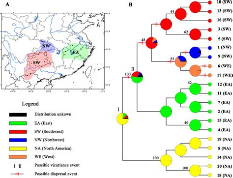 Ancestral Area Reconstructions Based On The Bayesian Binary Markov Download Scientific Diagram