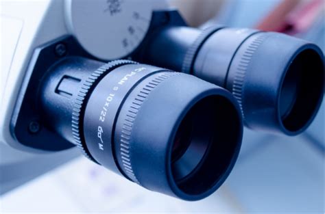 Body Fluids Semen Saliva Expert Witness Keith Borer Consultants