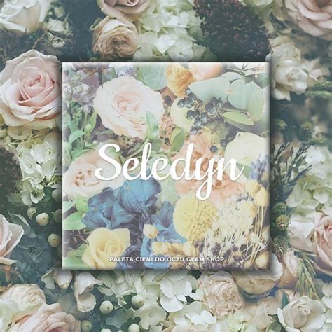 Glambox Seledyn Make Up Eye Makeup Limited Eyeshadow Palettes Liquidation Eyeshadow