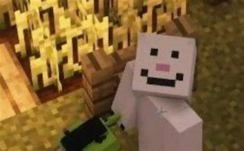 Guess The Qsmp Member Skins Test Quotev
