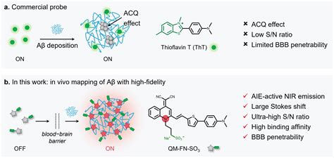 Preparation Of Near Infrared Aiegen Active Fluorescent Probes For Mapping Amyloid β Plaques In