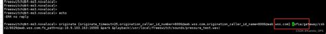 freeswitch 笔记 freeswitch查看网关状态 csdn博客