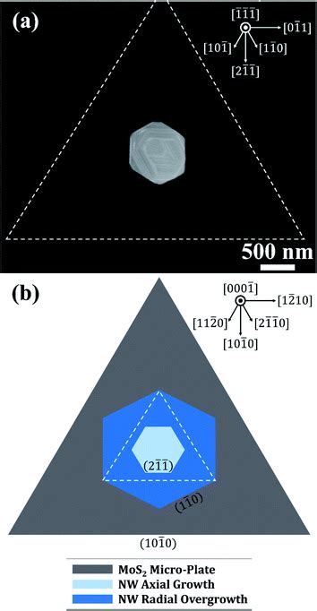 Mixed Dimensional Inas Nanowire On Layered Molybdenum Disulfide Heterostructures Via Selective