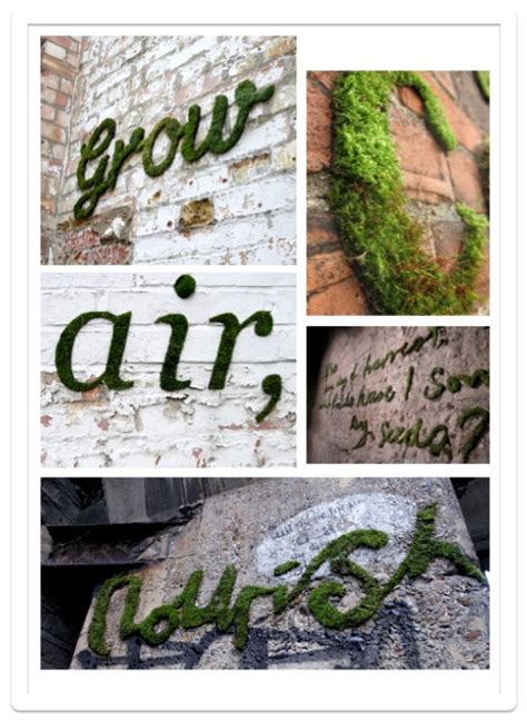 Moss Graffiti Moss Graffiti Diy Garden Budget Garden