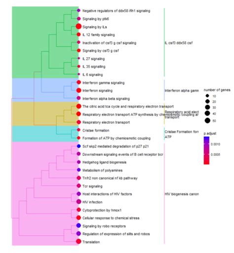 Easy R Tutorial Pathway Enrichment Analysis Plots