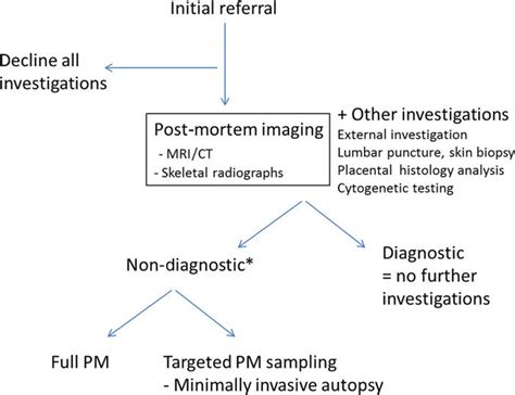 Proposed Future Model Of Post Mortem Investigations A Full Or Download Scientific Diagram