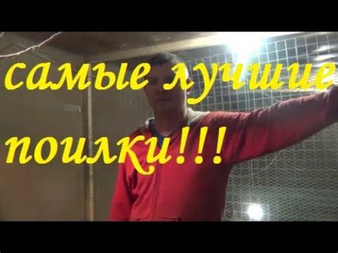 Лучшие поилки для кур - YouTube