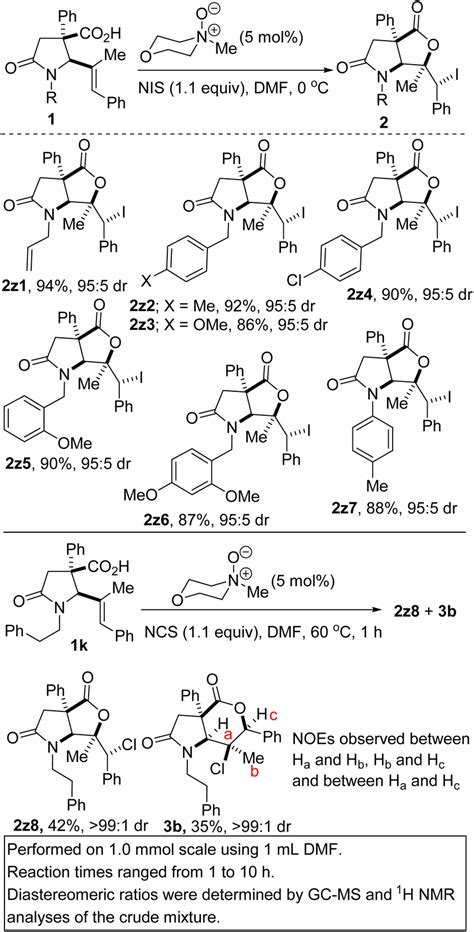 Contra Thermodynamic 5 Exo Iodolactonization And Unselective