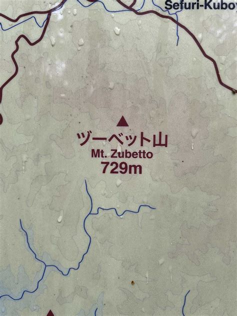 Mt Zubetto729m ๑•̌ •̑๑ ˀ̣ˀ̣ Kei707さんの脊振山・金山の活動データ Yamap ヤマップ
