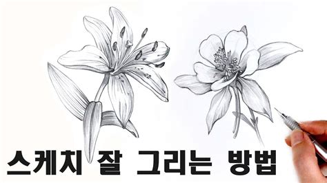 초보자를 위한 꽃 스케치 쉽게 그리는 방법 How To Draw A Flower Sketch For Beginners 스케치 꽃 스케치 그림 그리는 방법