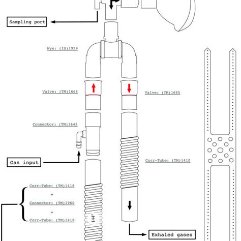 Schematic Of The Circuit Assembly Gas Mixtures Are Supplied Through